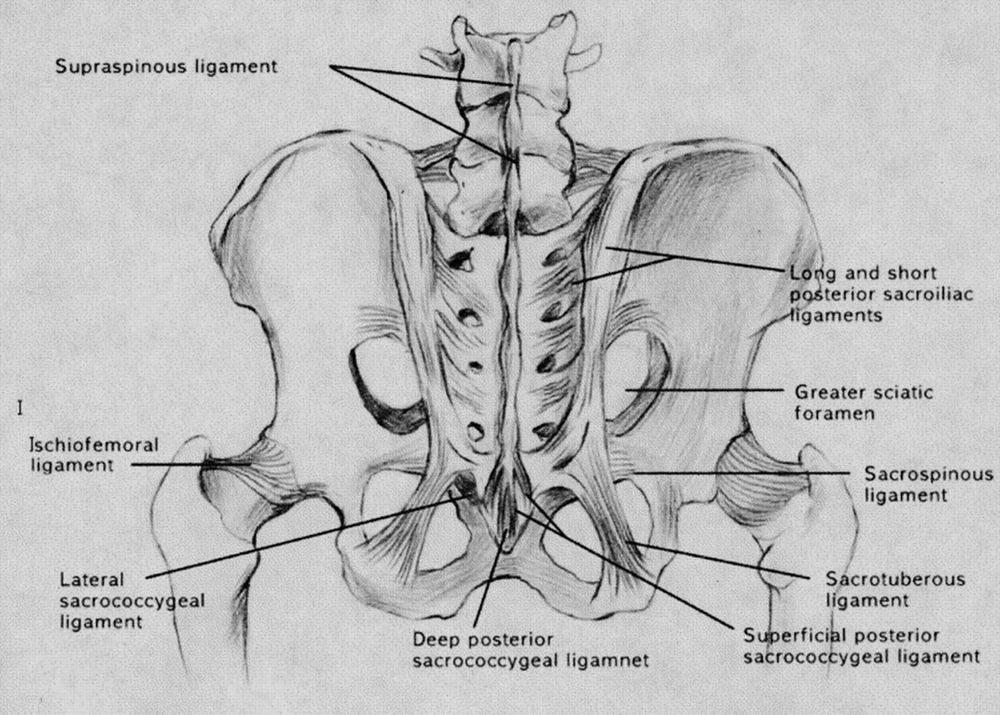 What is Sacro-Iliac (S.I.) Joint pain?