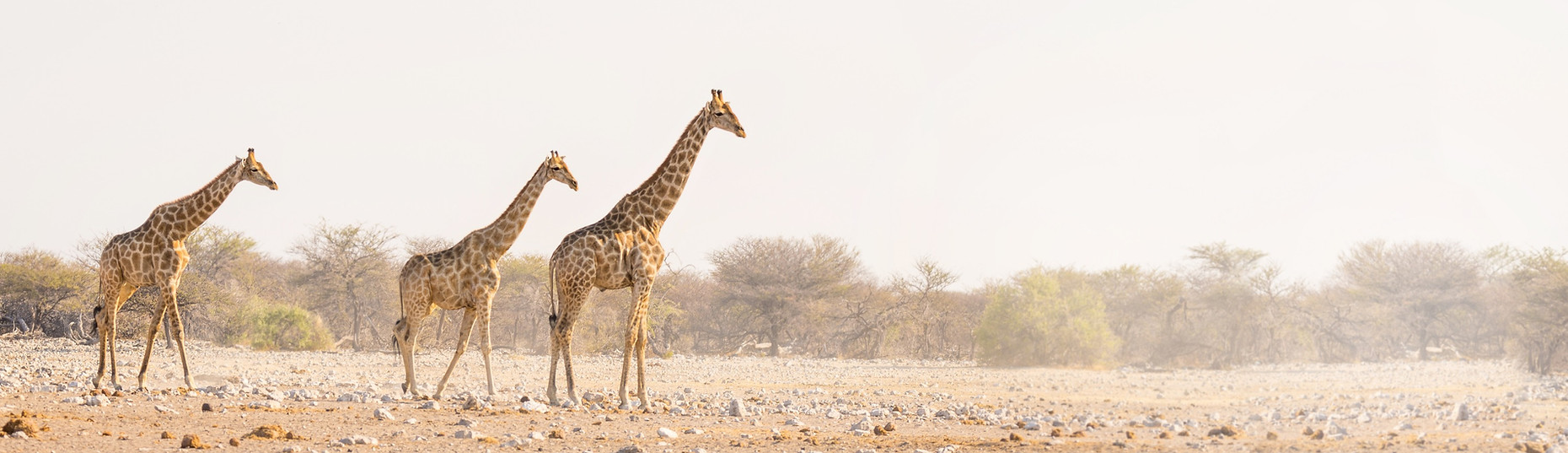 Conservation Empowered | SAVSIM CIC