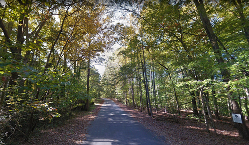 Two Fully Treed, Private Lots Walking Distance To Duncan Park Lake ...