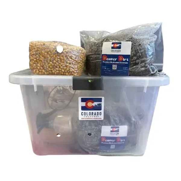 What Is a Mushroom Grow Kit and How Does It Work?