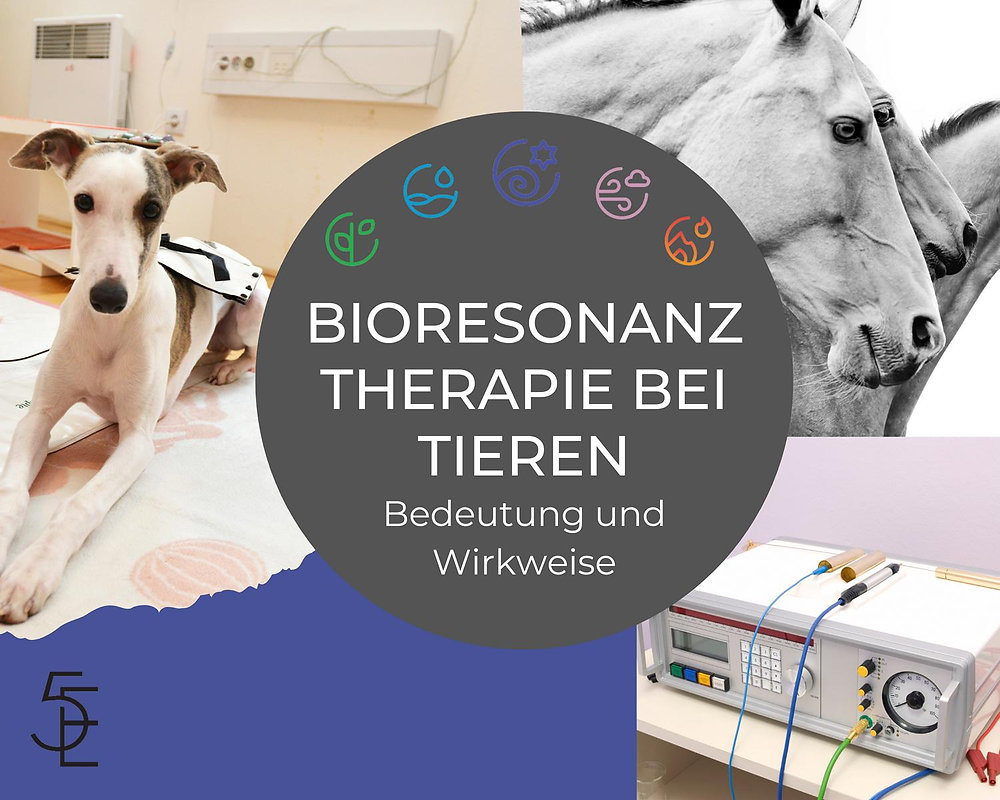 Bioresonanztherapie bei Tieren: Ein ganzheitlicher Ansatz für die ...