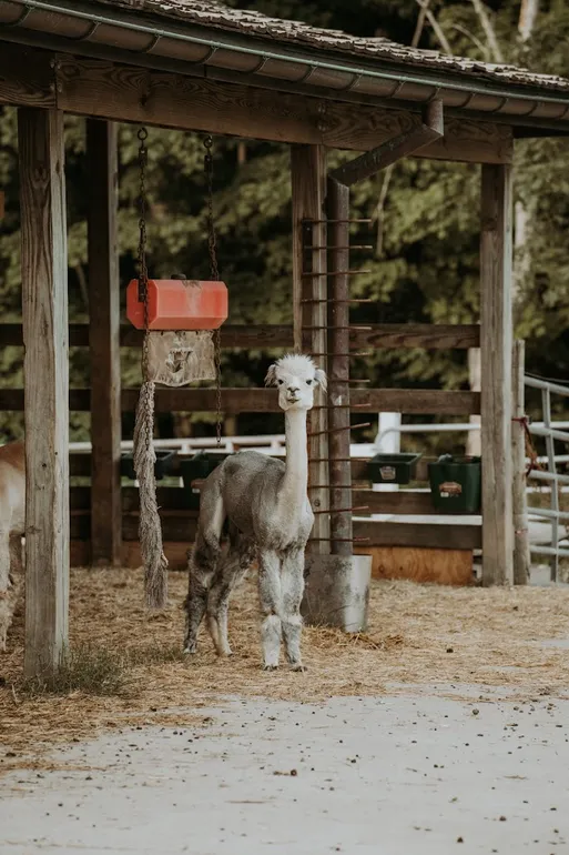Farm and Estate Wedding Venue, Northeast Ohio - Basil Place