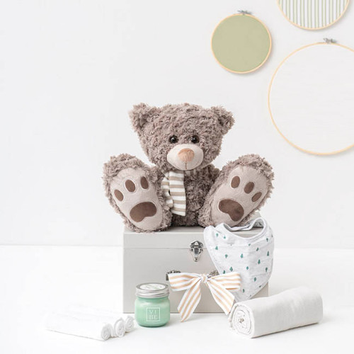 Teddy Deluxe Baby Hamper - Brown | Piomotto