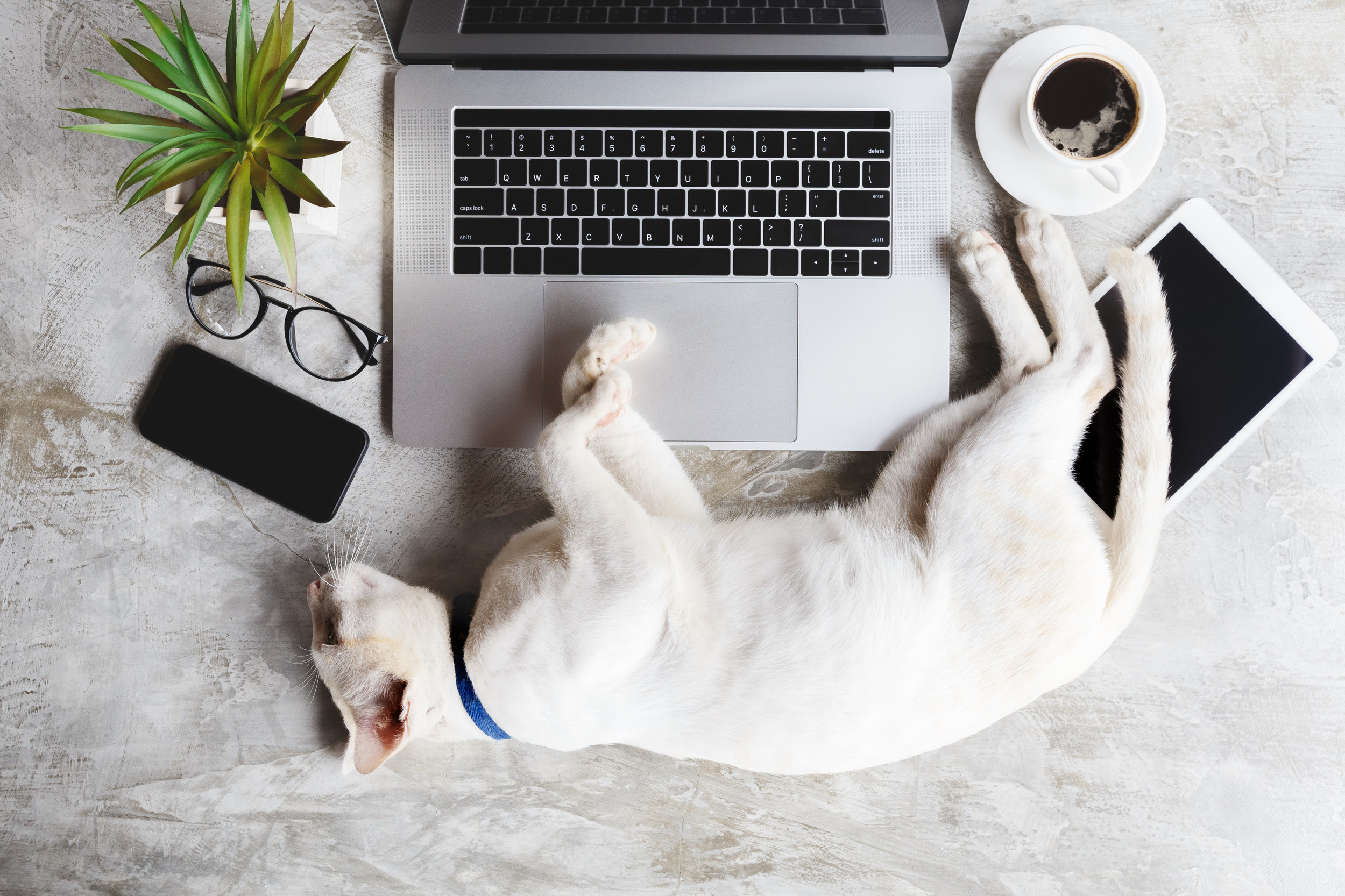 Genia Australia | Contact Us