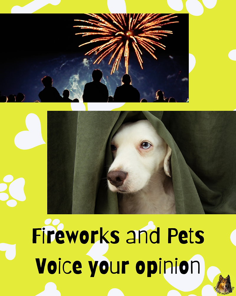 Animals and fireworks over the festive season