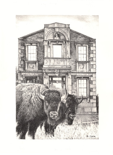Debra Clem, Stone Lithograph | calliopearts