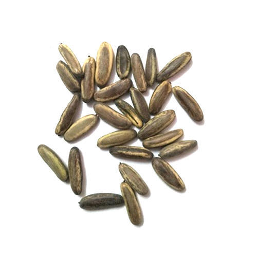 A Hawaii Artist discovers beauty and more in Island Sourced Materials!