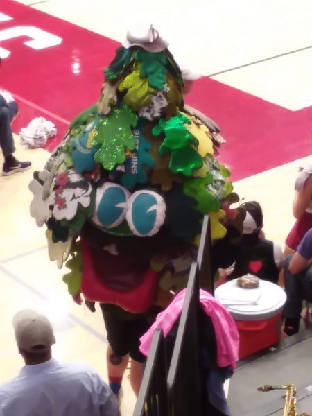 Maples Pavilion - Stanford Cardinal