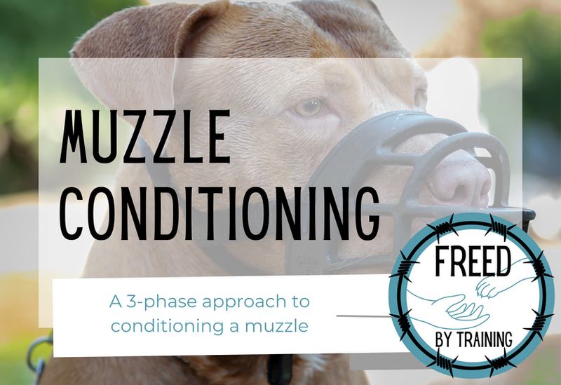 Freed by Training | Certified Professional Dog Trainer