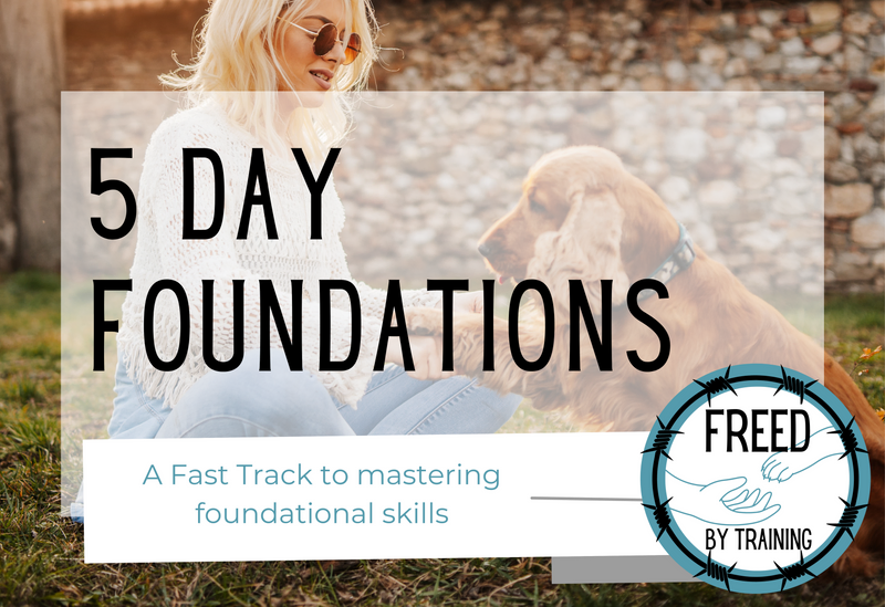 Freed by Training | Certified Professional Dog Trainer