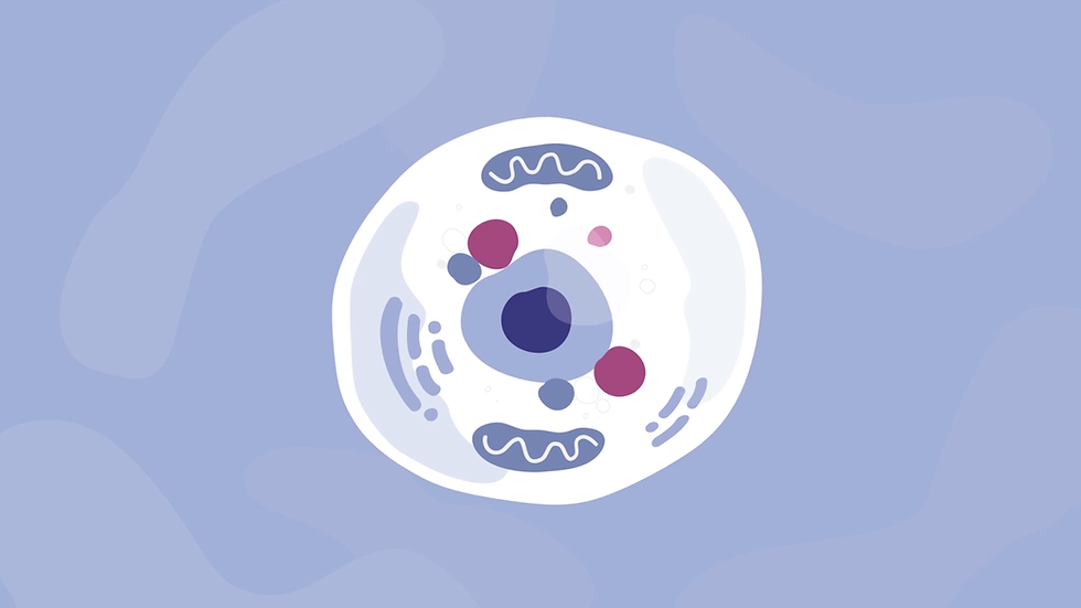 GENE & CELL THERAPY 101: Cell Therapy basics