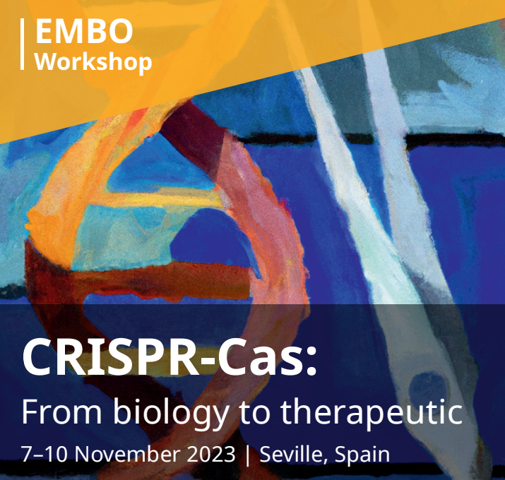 CRISPR-Cas:From biology to therapeutic