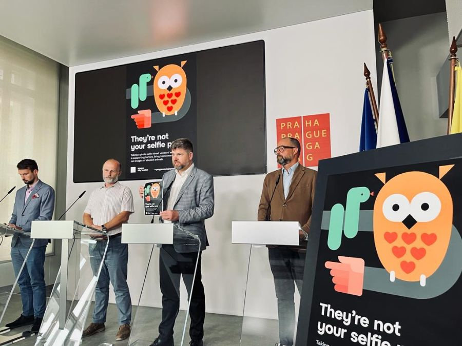 Enjoy Respect Prague: Prag sensibilisiert Touristen für den Respekt vor ...