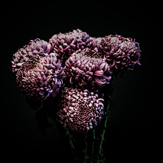 Floral Installations | Botanic Art - Floral & Event Design | Germany