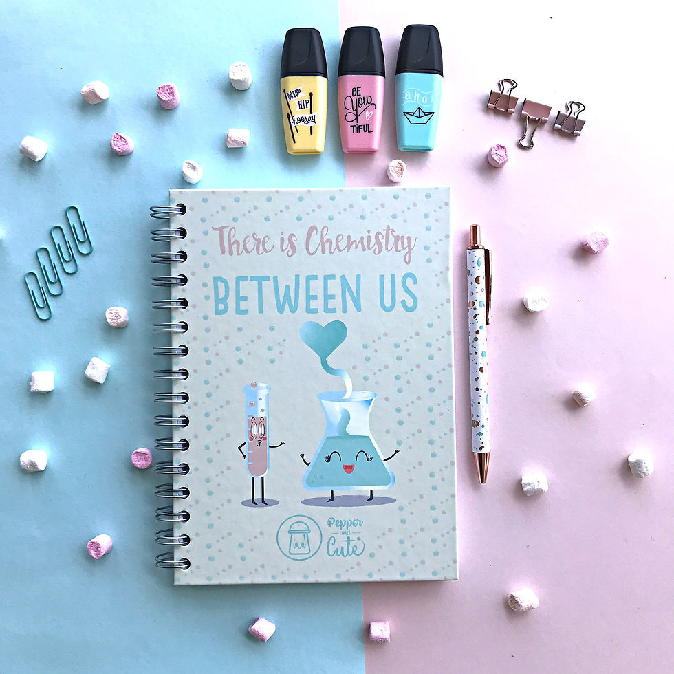Cute notebooks | Pepper and Cute diaries and planners