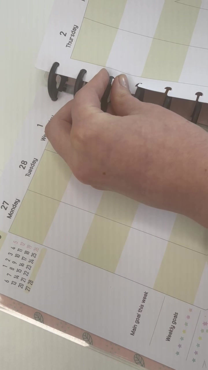 Discbound Diary&Planners fillers | Pepper and Cute stationery and gifts