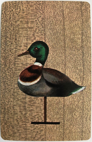 Mallard Ducks #34 | Birds Swap Playing Card | 001 Swap Cards