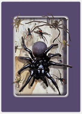 Australian Spider 3D Swap Playing Card | 001 Swap Cards