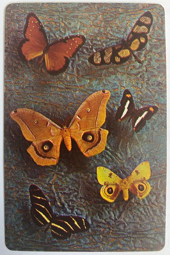 Butterflies #6 Swap Cards | 001 Swap Cards