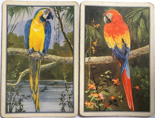 Birds #58 Macaw Parrot Swap Cards PAIR | 001 Swap Cards