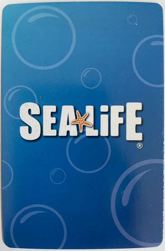 Melbourne Sealife Swap Cards | 001 Swap Cards