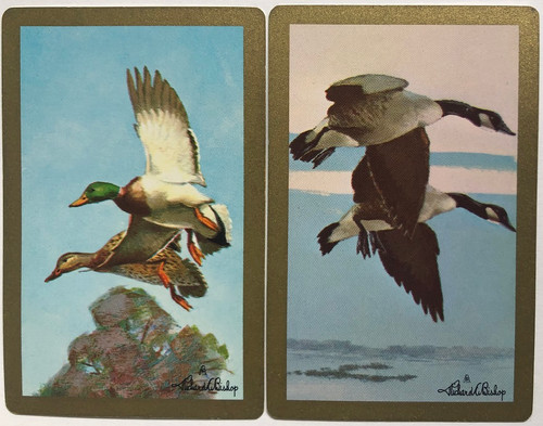 Ducks Richard Bishop Birds Swap Playing Cards | 001 Swap Cards