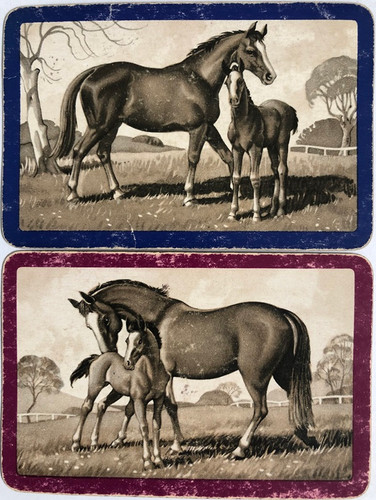Horses Mare & Pony Swap Cards #76 | 001 Swap Cards