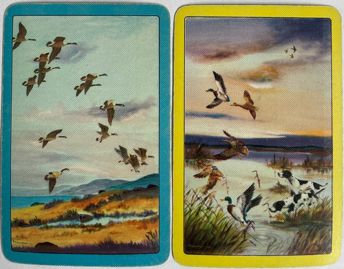 Ducks #38 | Birds Swap Cards PAIR | 001 Swap Cards