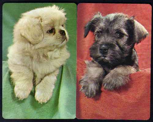 Dog Puppy #1 Swap Cards PAIR | 001 Swap Cards