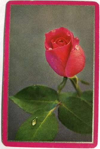 Flower #11 Roses Swap Cards | 001 Swap Cards