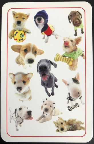 Dog Puppy Labrador Corgi Swap Playing Card | 001 Swap Cards