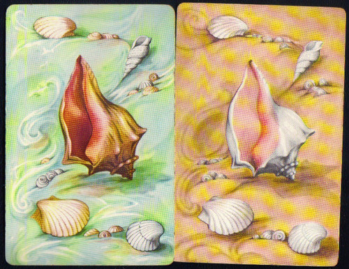 Seashells #2 | Object Swap Playing Cards | 001 Swap Cards