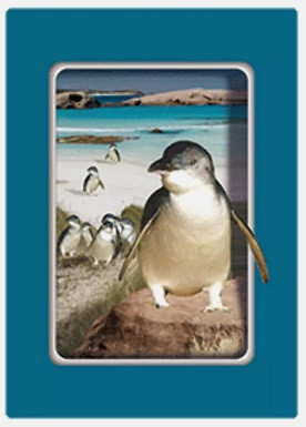 Australian Penguins 3D Swap Playing Card | 001 Swap Cards