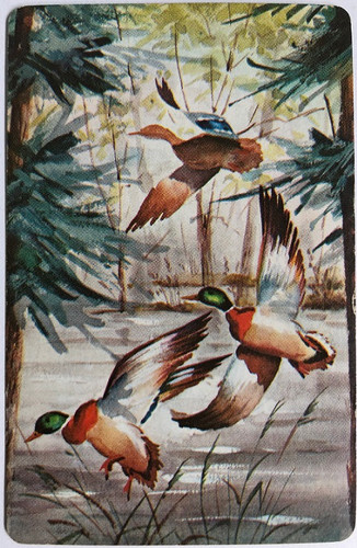 Ducks Flying | Birds Swap Playing Card | 001 Swap Cards