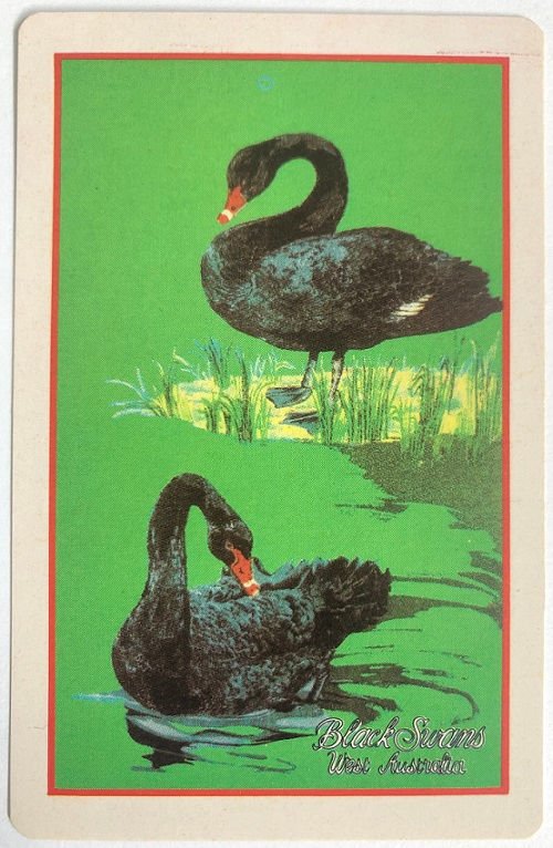 Australia Black Swans Swap Cards SINGLE | 001 Swap Cards