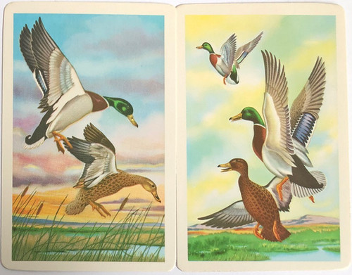 Ducks #1 Birds | Scenery Swap Playing Cards | 001 Swap Cards