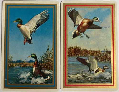 Ducks #35 | Birds Swap Cards PAIR | 001 Swap Cards