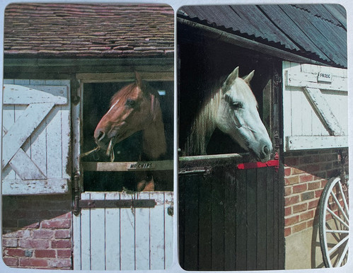 Horses Mr Chip & Frolic Swap Cards | 001 Swap Cards