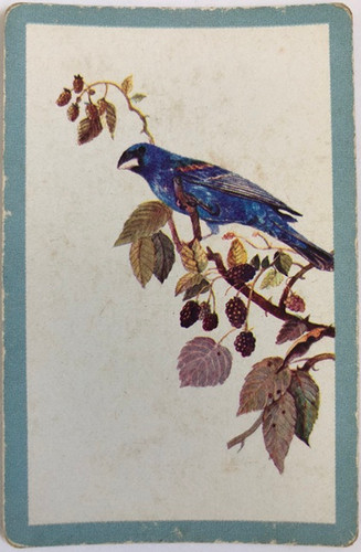 Bird #34 Swap Cards | 001 Swap Cards