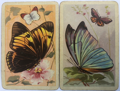 Butterflies #4 | Bird Swap Cards PAIR | 001 Swap Cards
