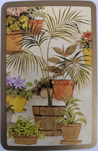 Flower Fern Plant Swap Cards | 001 Swap Cards