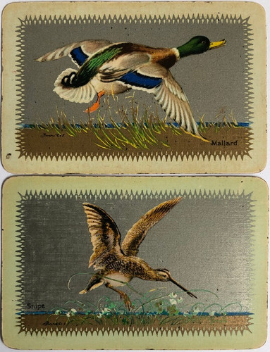Ducks Mallard Snipe Bird Swap Playing Cards | 001 Swap Cards