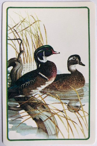 Ducks #19 | Birds Swap Cards SINGLE | 001 Swap Cards