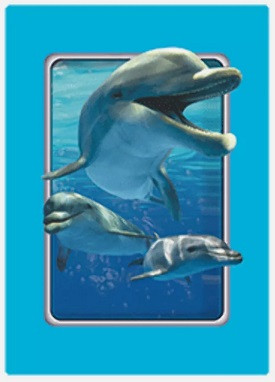 Australian Dolphins 3D Swap Playing Card | 001 Swap Cards