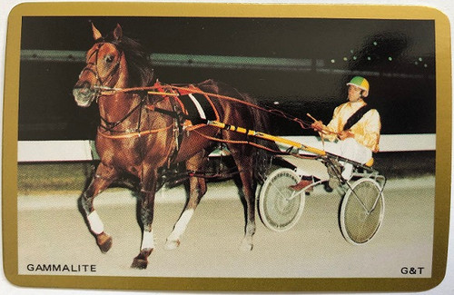 Gammalite Horse Harness Racing Blank Back Swap Card | 001 Swap Cards