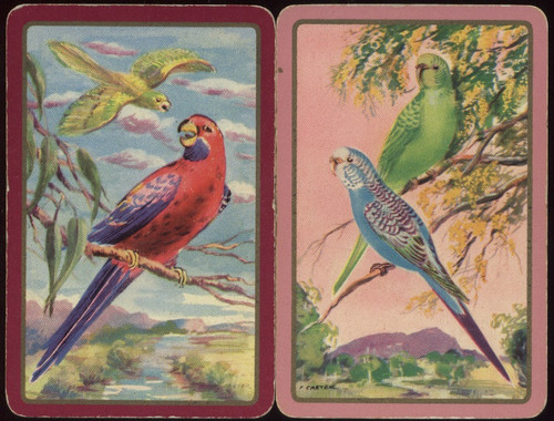 Birds #29 Parrots | Carter Swap Playing Cards | 001 Swap Cards