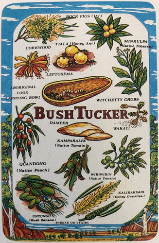 Bush Tucker Plant Swap Cards | 001 Swap Cards