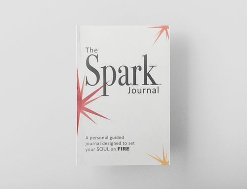 The Spark Journal | Kelly & April Meyer