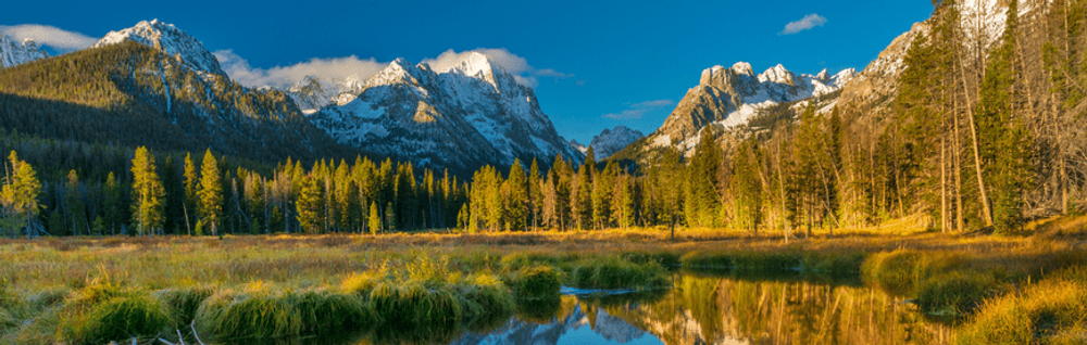 Idaho CPA CPE Requirements [Updated 2026]