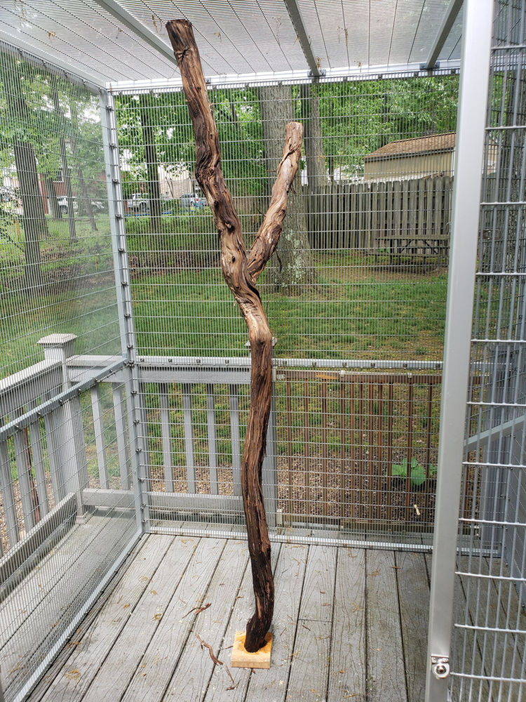 Building the Aviary Tree